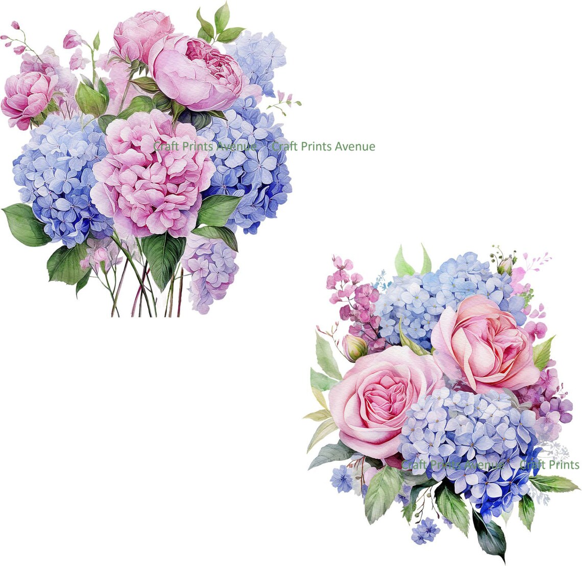 Hydrangea and Roses PNG Clip Art, Rose Hydrangea Watercolor Clipart ...