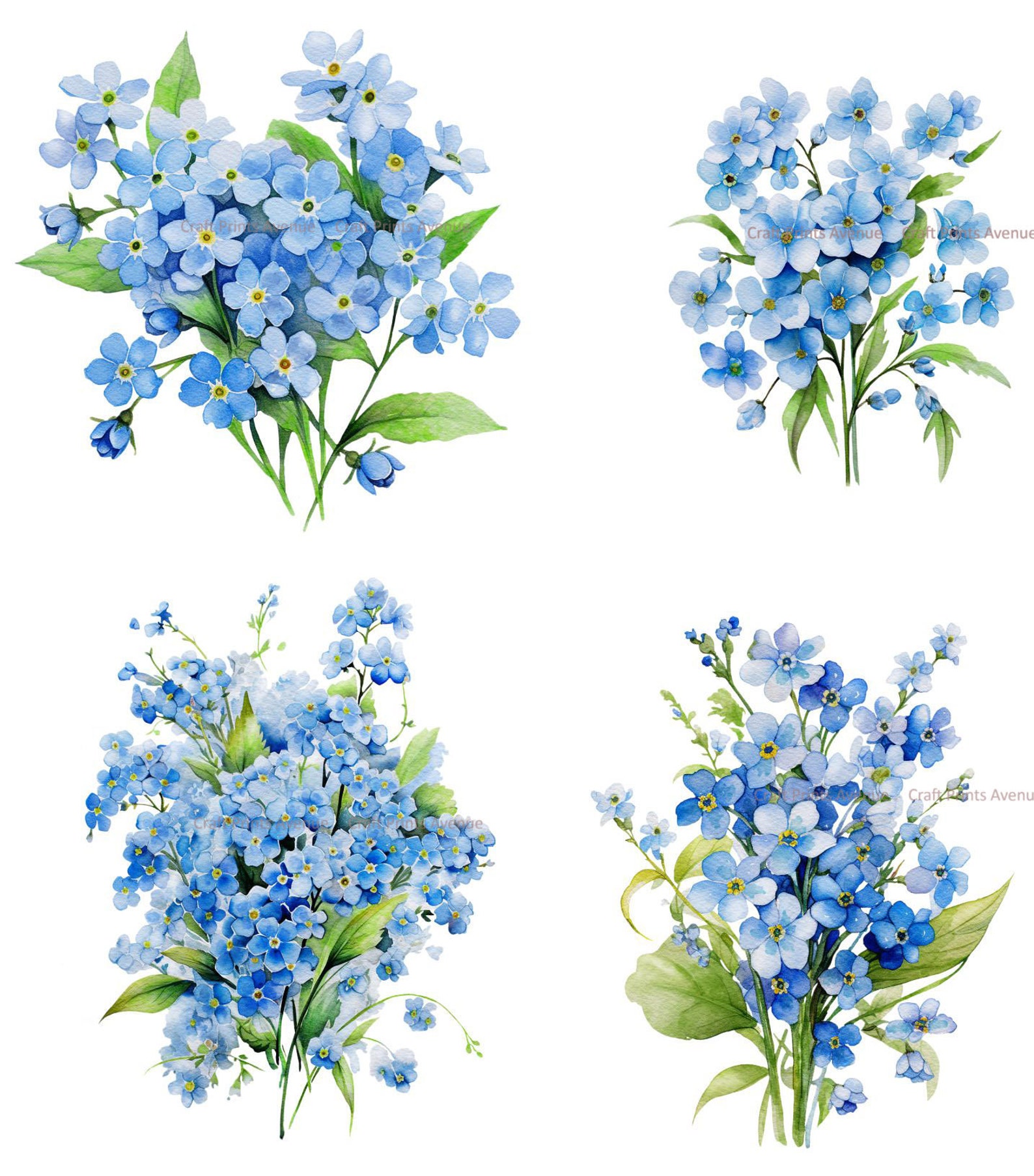 Forget Me Not Clip Art Florals PNG Digital Clip Art, Blue Watercolor ...