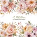 Pink Amd Peach Florals PNG Digital Clip Art, Blush Neutral Flowers ...