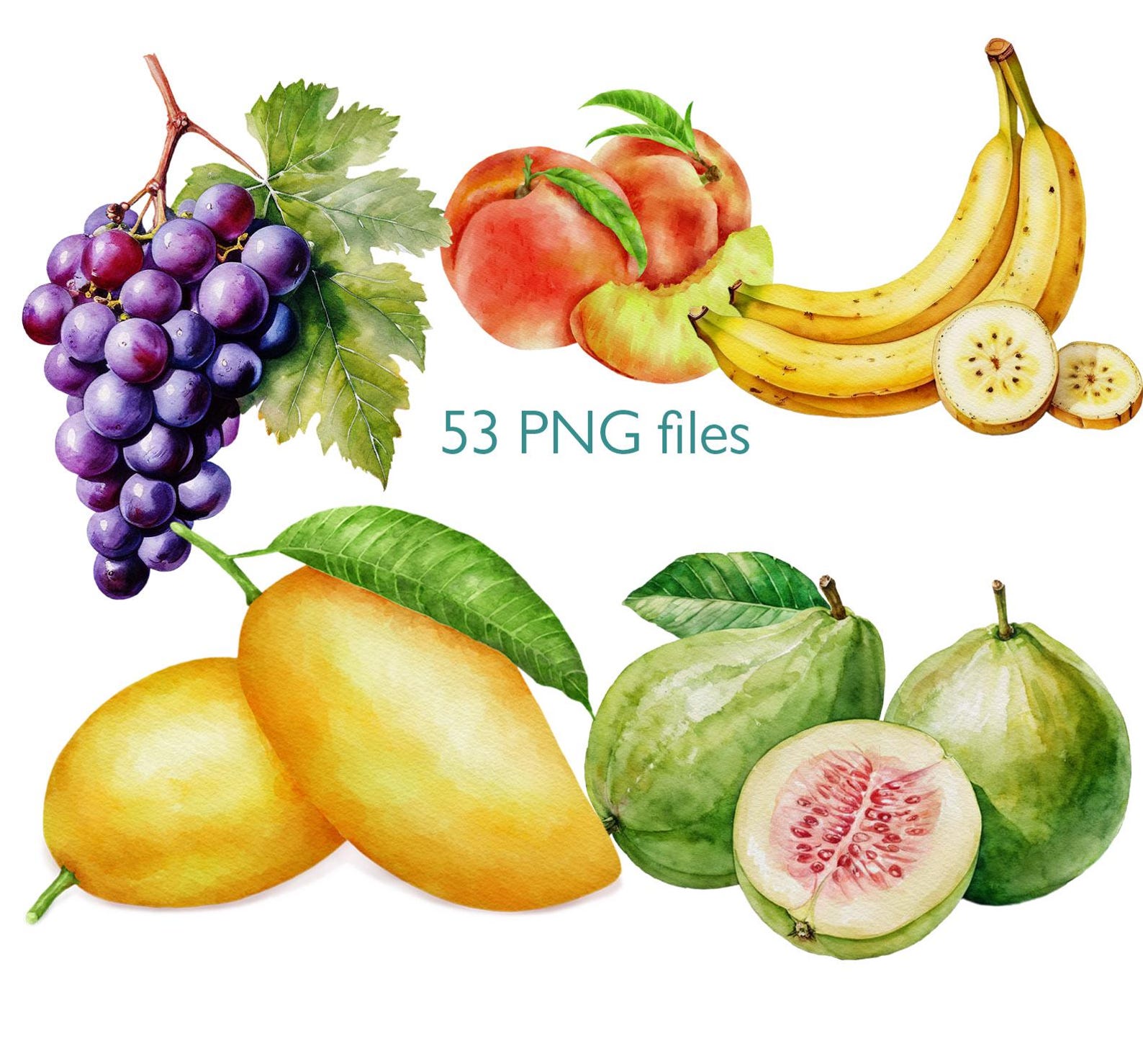 Fruit Clip Art for Kids, PNG Watercolor, Fruits Clipart, Invitation Art ...