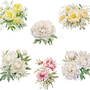 Peony Florals PNG Digital Clip Art, Peonies Flowers Clipart, Invitation ...