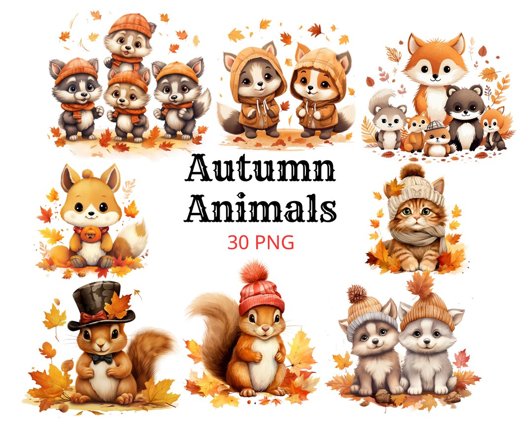 Autumn Cute Baby Animals Clipart Cute Autumn Woodland Animals - Etsy