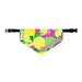 Personalized Pet Bandana/collar, Preppy Pet Bandana/collar, Lemon Lime Dog and Cat Bandana ...