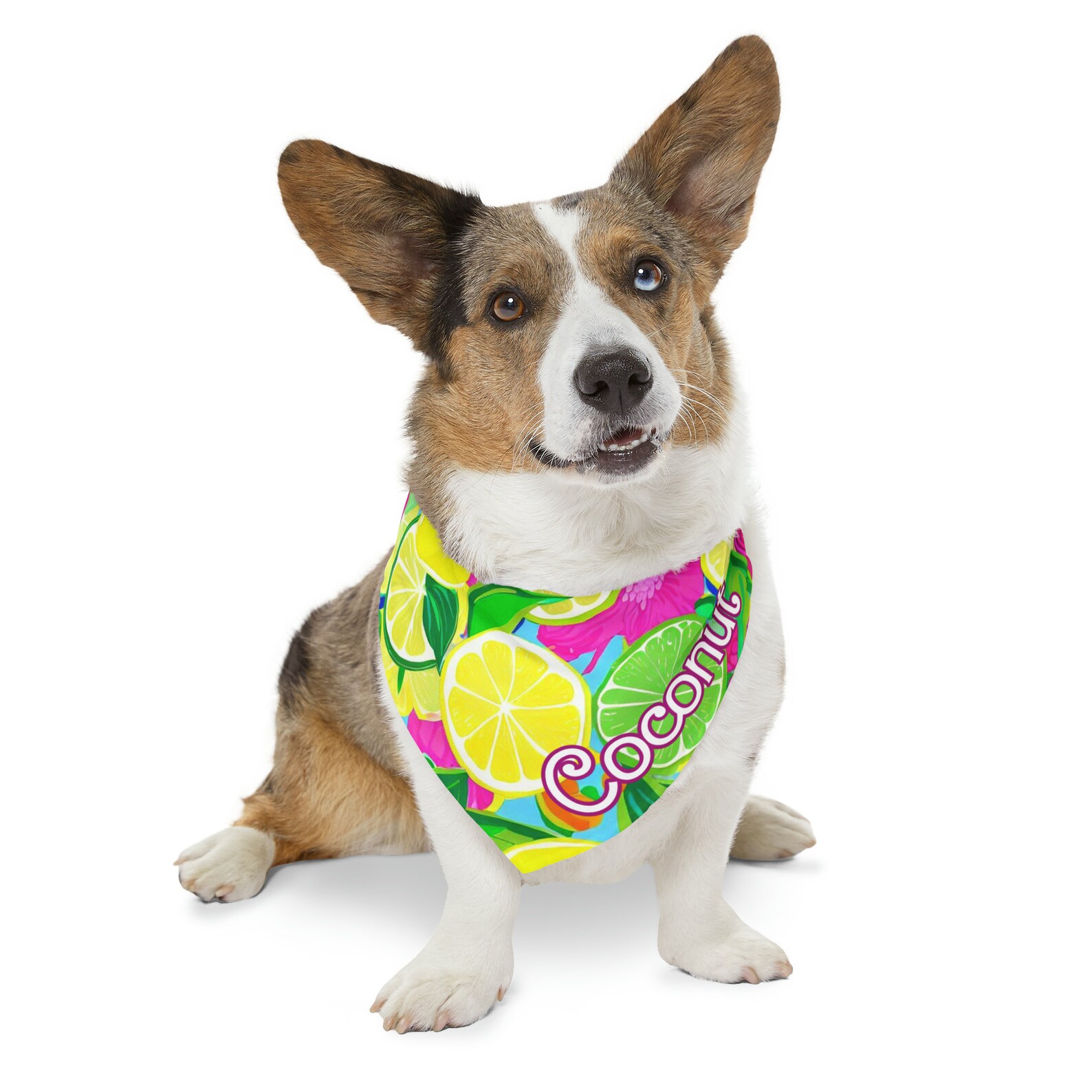 Personalized Pet Bandana/collar, Preppy Pet Bandana/collar, Lemon Lime ...