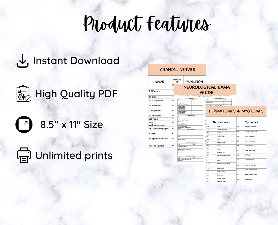 Neurological Exam Guide, Physical Therapy Cheat Sheet, New Grads ...