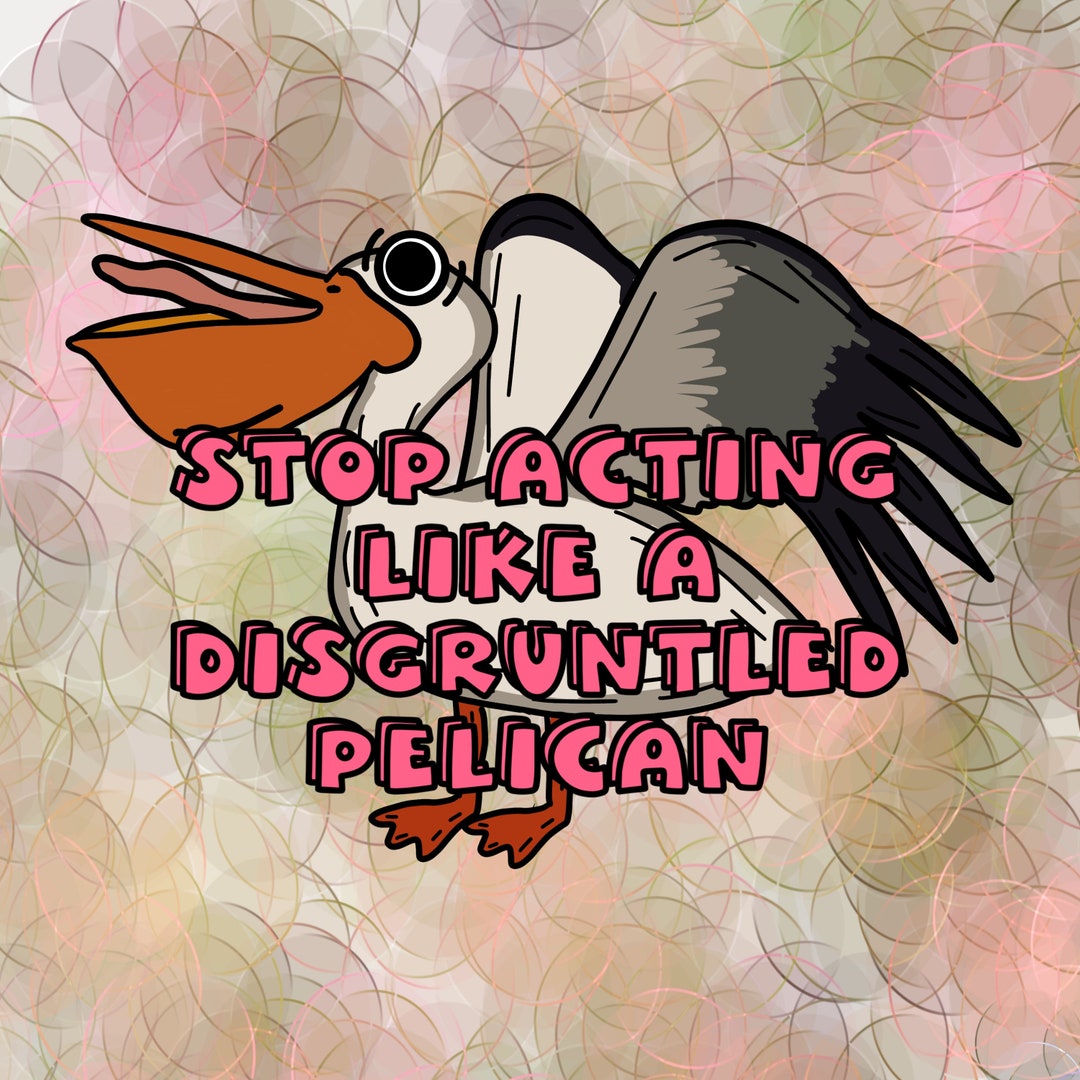 GLOSSY STICKER: Schitt's Creek Disgruntled Pelican Sticker - Etsy