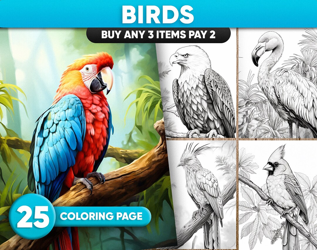 Tropical Birds Coloring Pages: 25 Grayscale Bird Illustrations ...