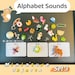 Alphabet Sound Miniature Objects, 26-letter Montessori Language Mini ...