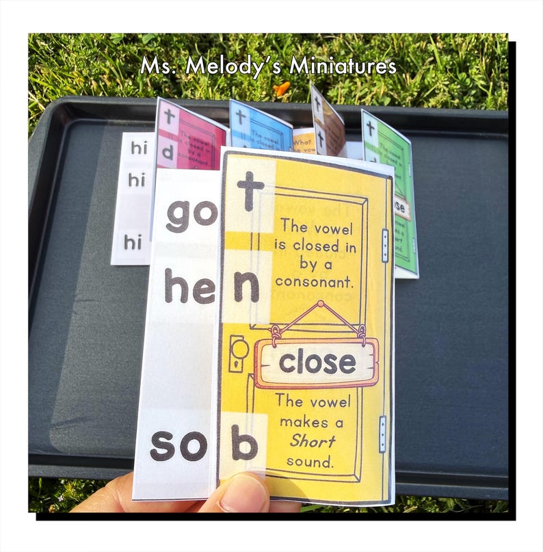 Open & Closed Syllable Interactive Mini Objects Kit Science of Reading ...