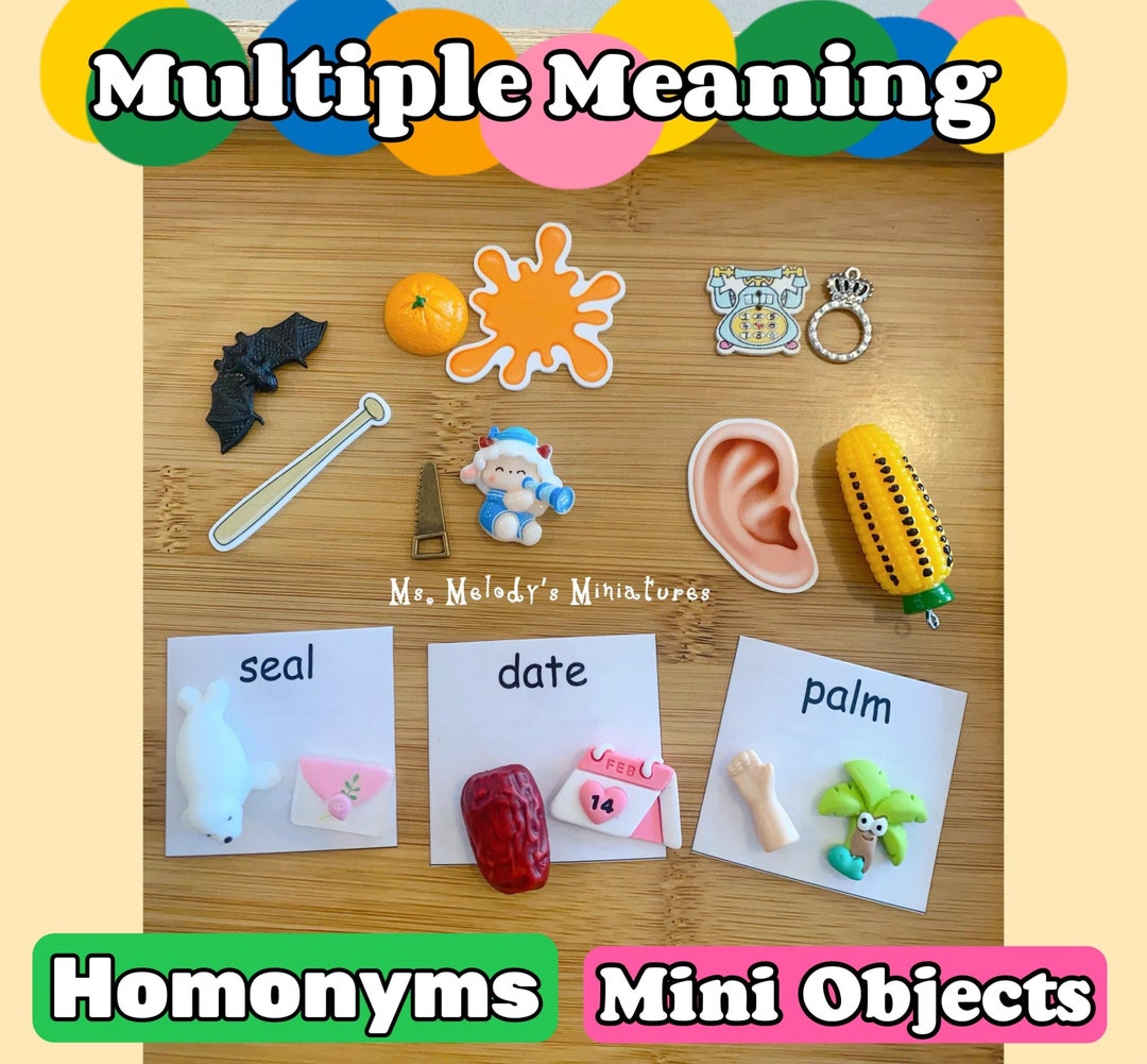 Multiple Meaning Words, Homonym Mini Objects, Grammar Spelling Semantic ...