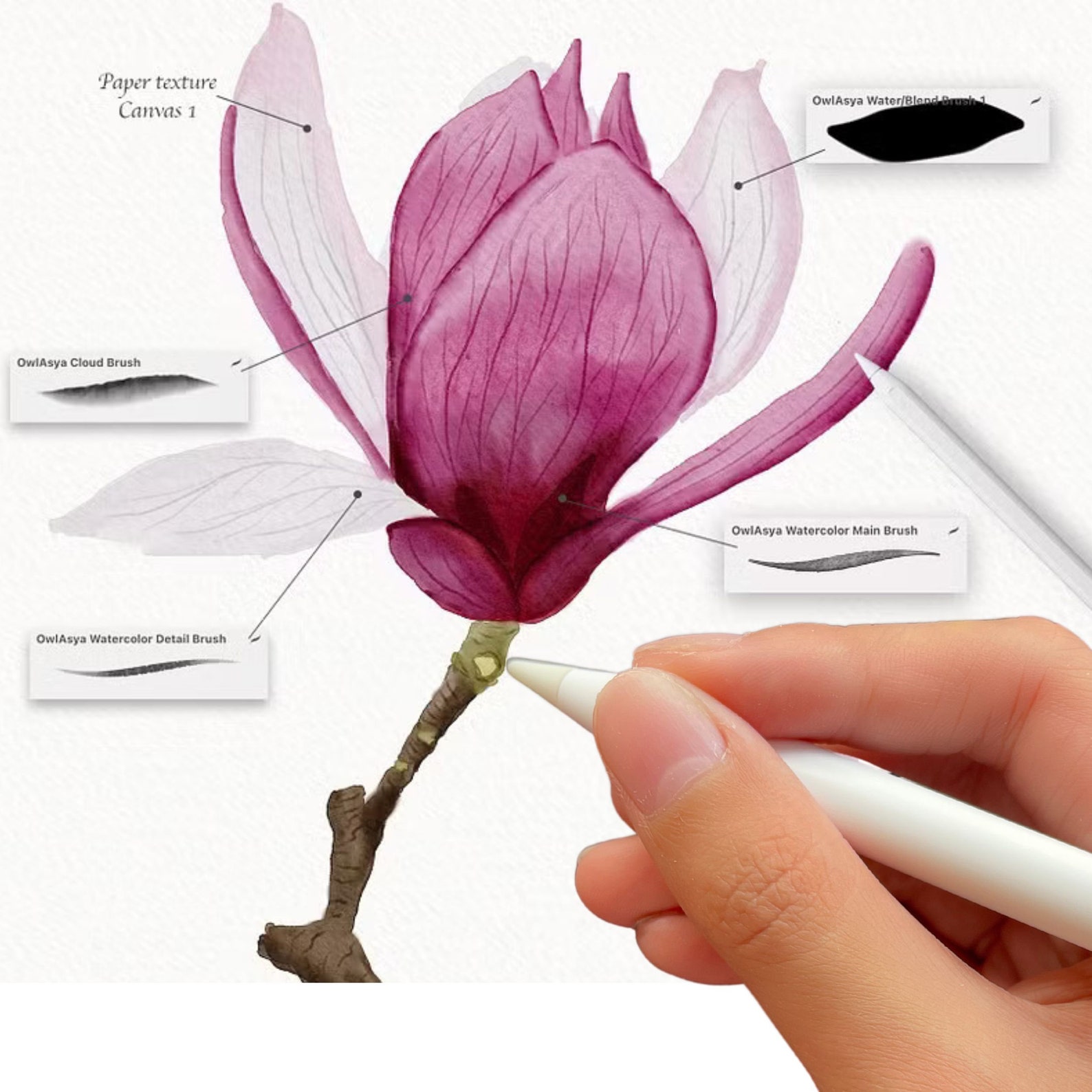 Ultimate Watercolor Brush Set for Procreate | 200+ Premium Brushes for ...