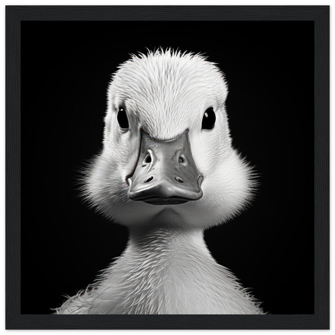 Ducks Poster Baby Duck Photography Bird Lover Gift Duck Wall Print ...