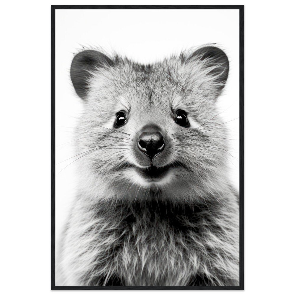 Quokka Poster | Baby Quokka Photography | Animal Lover Gift | Animal ...