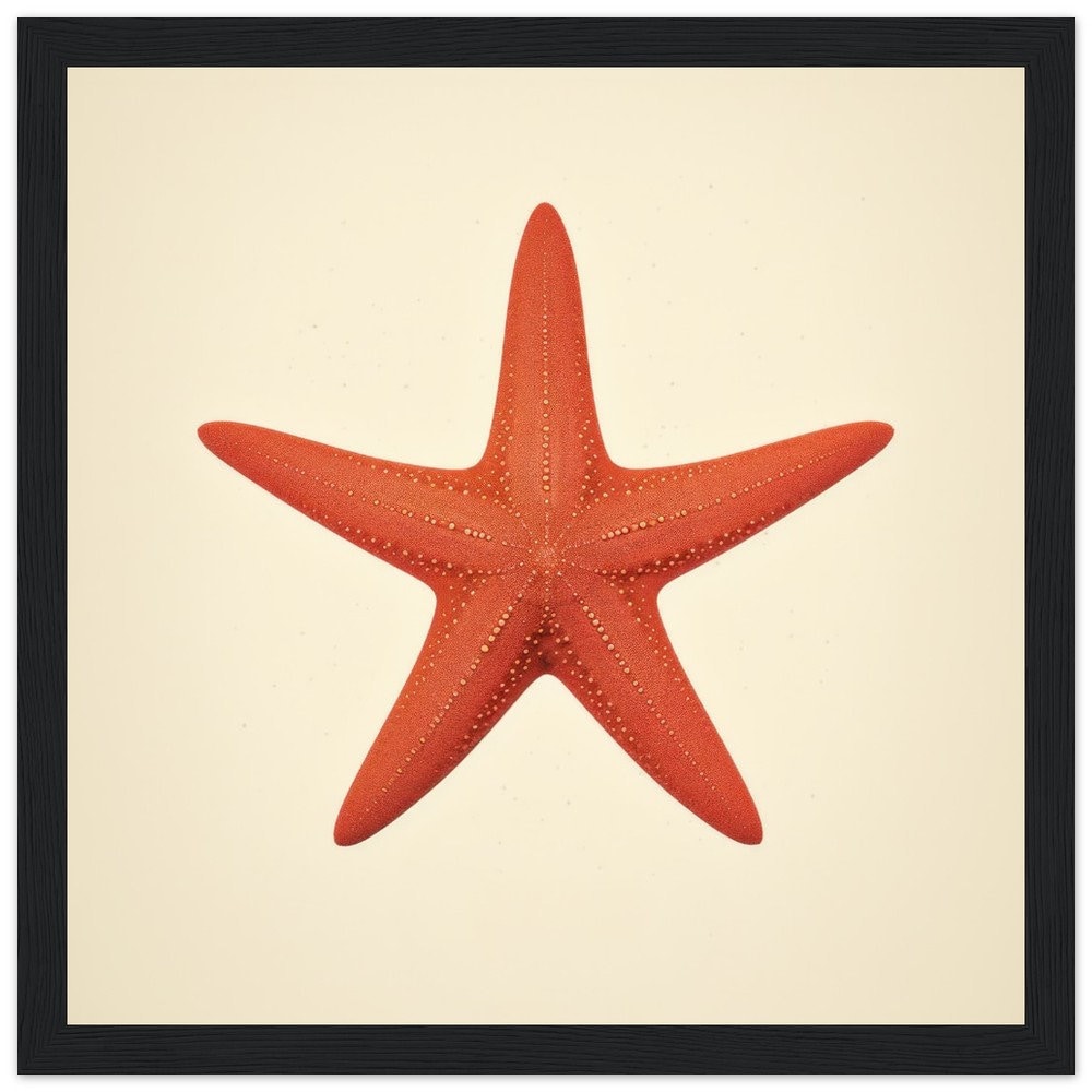 Vintage Starfish Poster | Starfish Printable | Mediterranean Wall Art ...