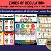 Zones of Regulation Inside Out Check-in Posters | ZOR Feelings Check-in ...