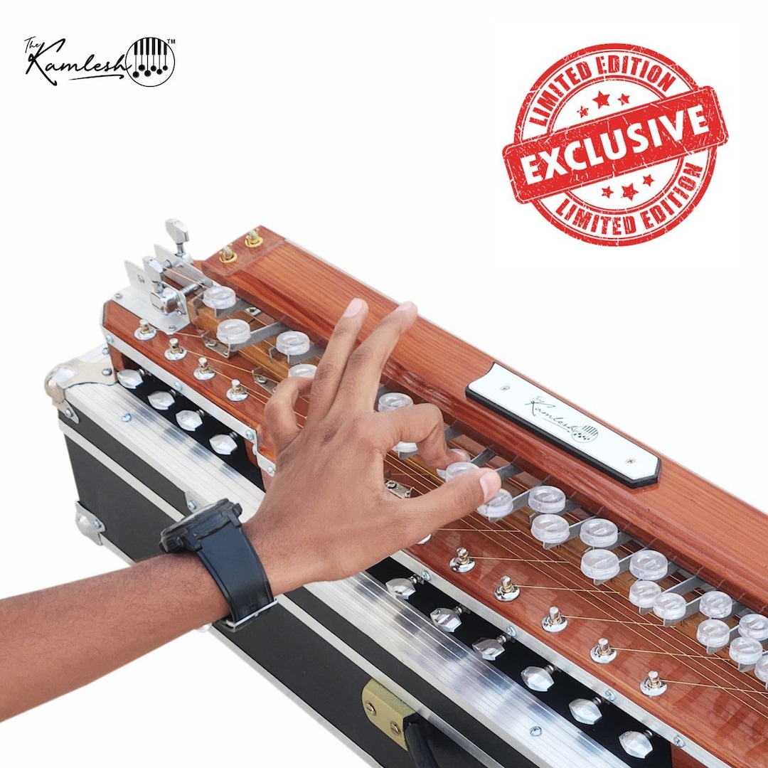 The Kamlesh® Bulbul Tarang Handmade Musical Instrument TKB29 - Etsy