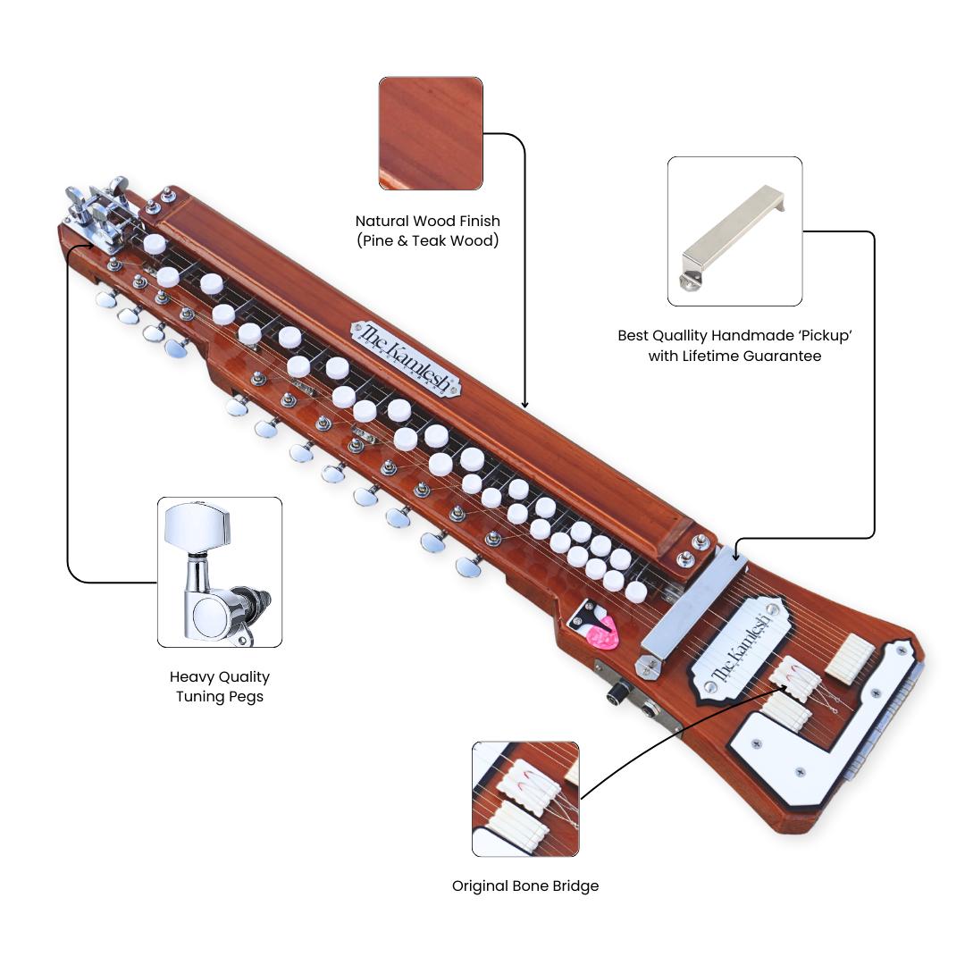 THE KAMLESH® Bulbul Tarang 29 Keys & 14 String Indian Traditional ...