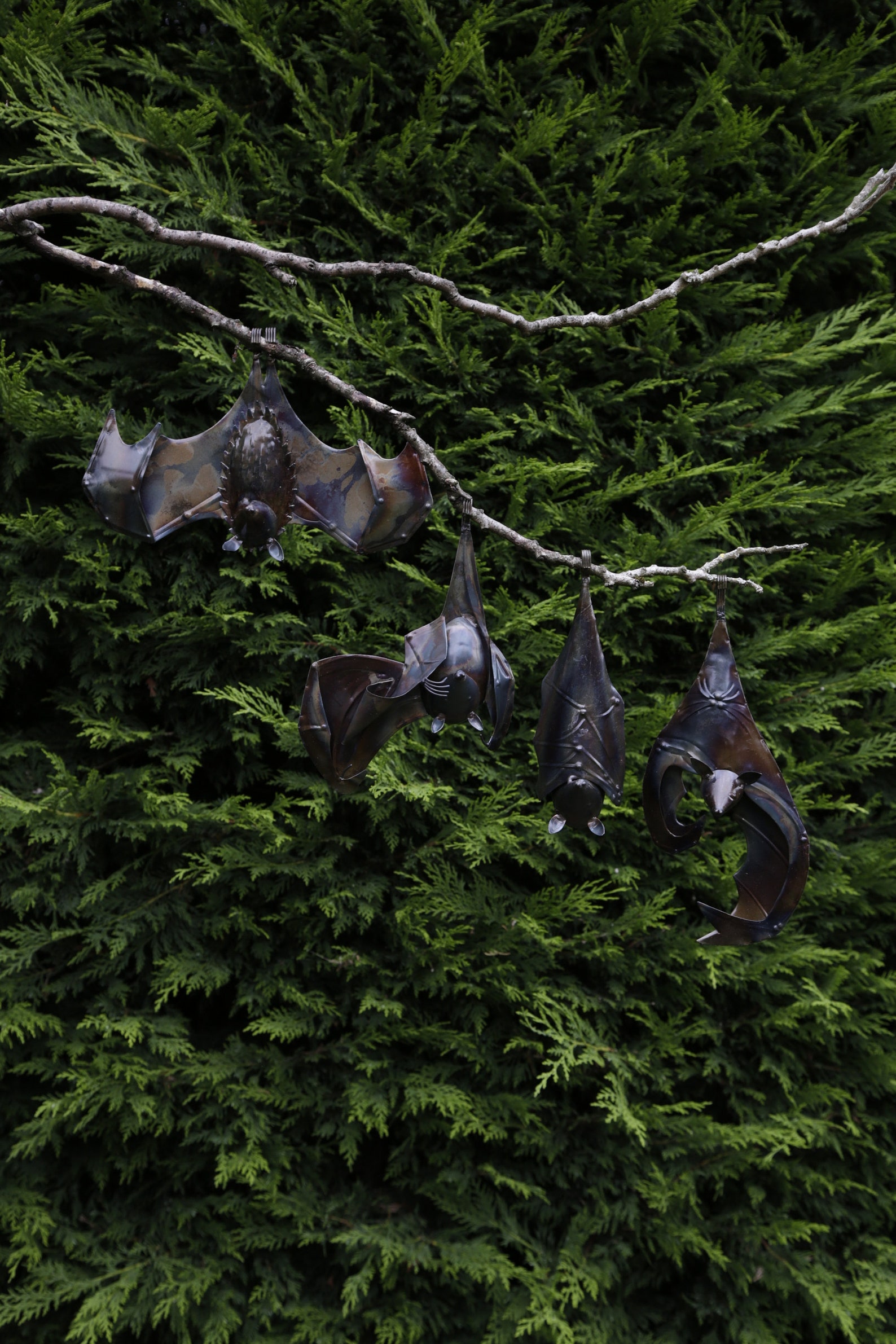 Metal Hanging One Open Wing Bat. Garden Indoor Outdoor Sculptures. Bats ...