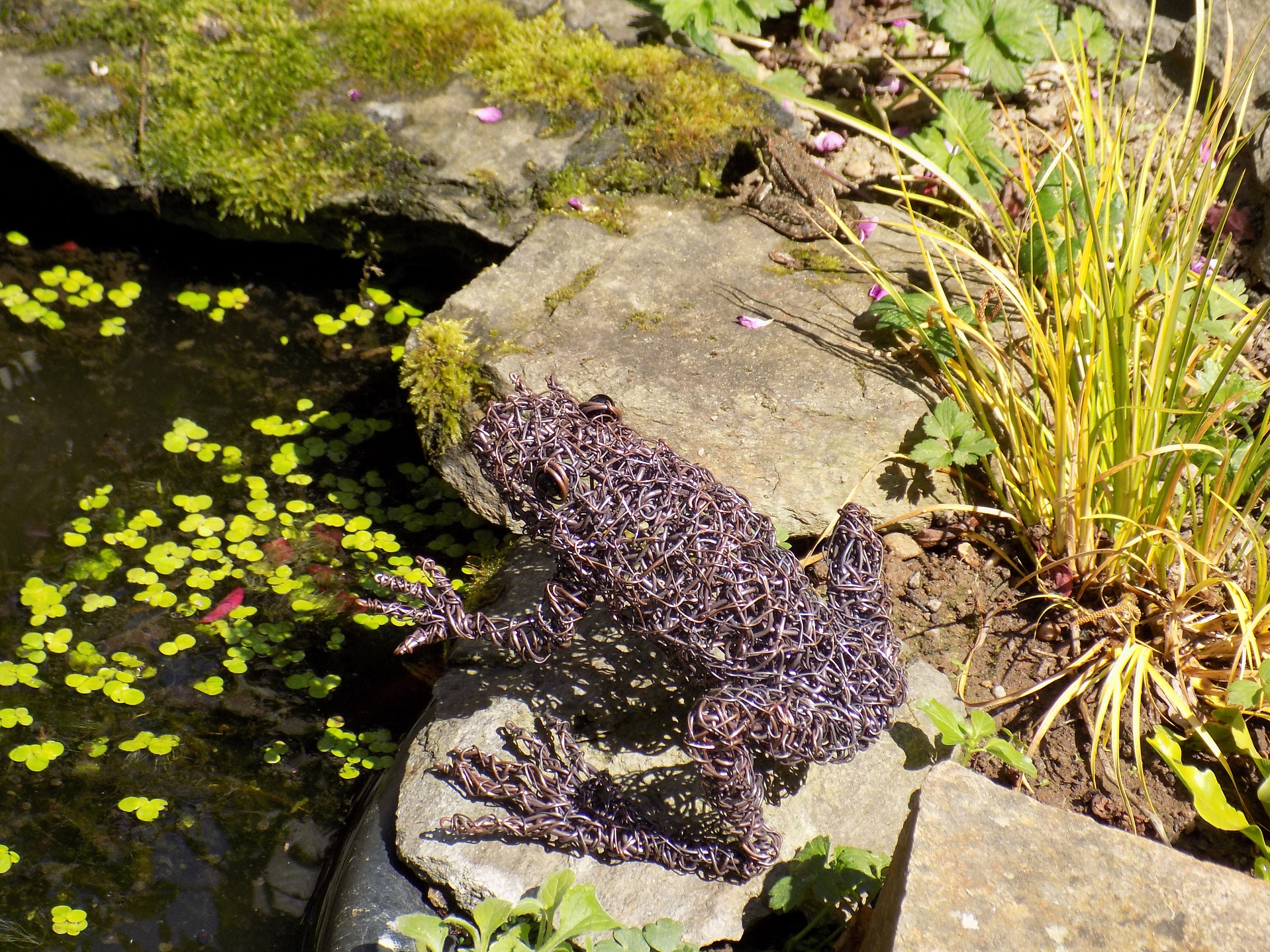 Wire Frog Garden Sculpture Copper Wire Frog Sculpture for Indoor or ...
