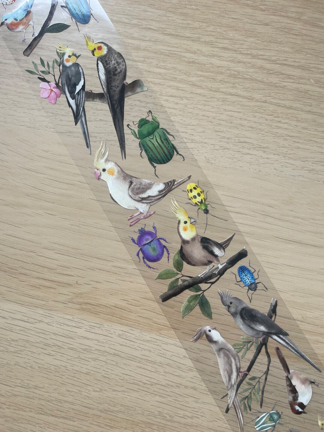 Cockatiel PET Tape 100cm Sample Loop - Etsy