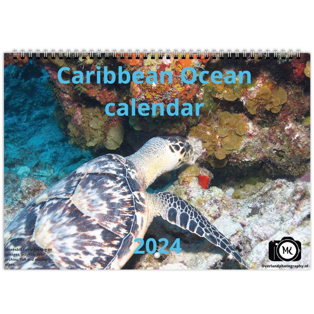 Nature Calendar 2024 Photo Calendar Calendar 2024 Large Wall Calendar ...
