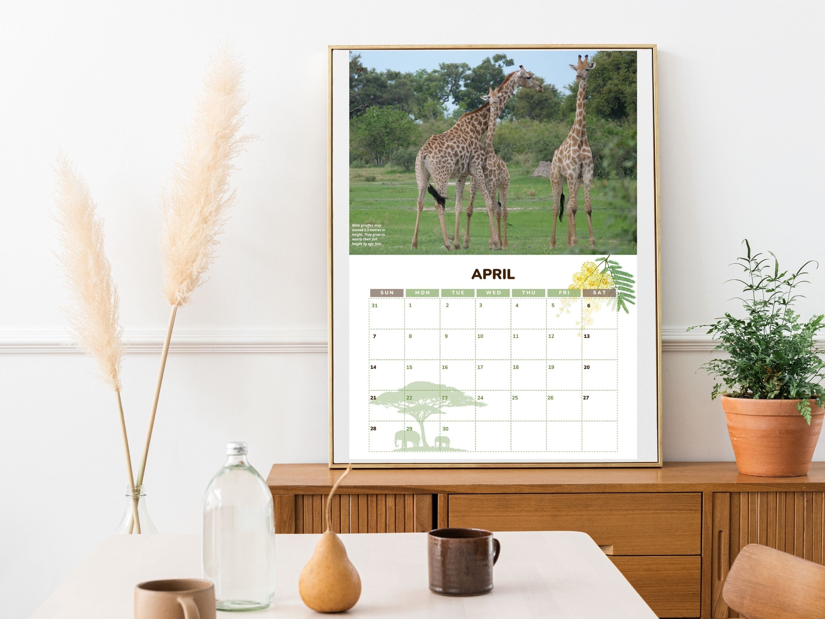 12 Month Photo Calendar, 2024 Photo Prints, Photo Gift for Class Room ...