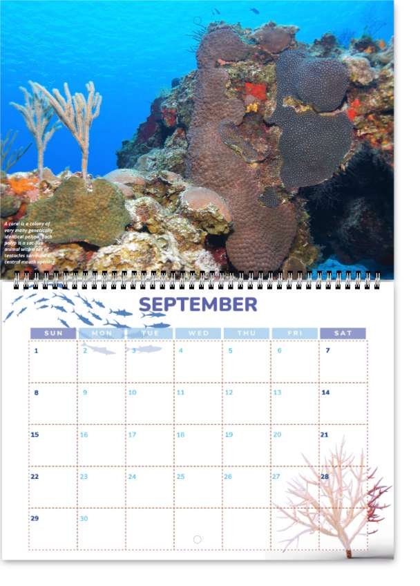 Nature Calendar 2024 Photo Calendar Calendar 2024 Large Wall Calendar ...