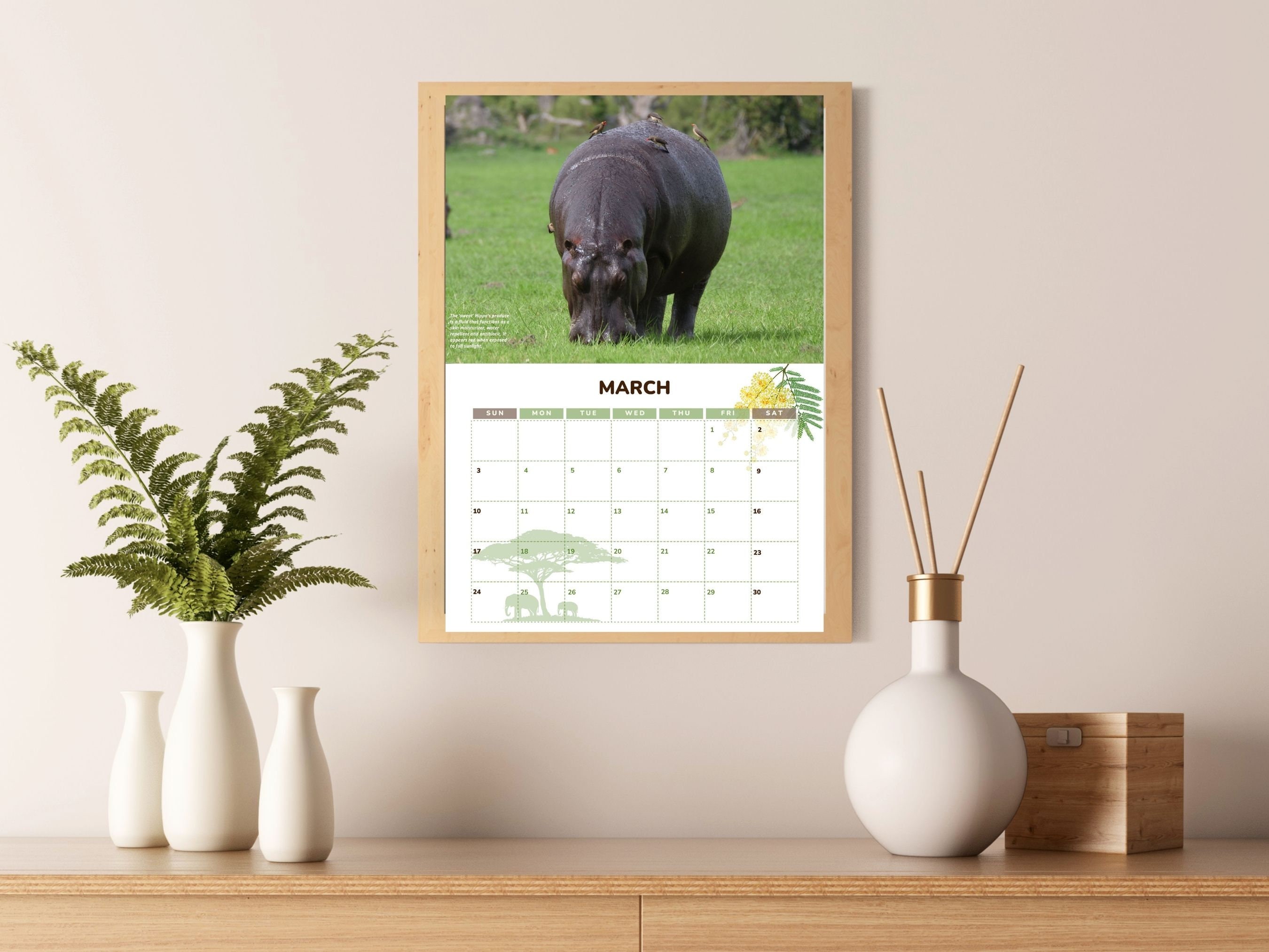 12 Month Photo Calendar, 2024 Photo Prints, Photo Gift for Class Room ...