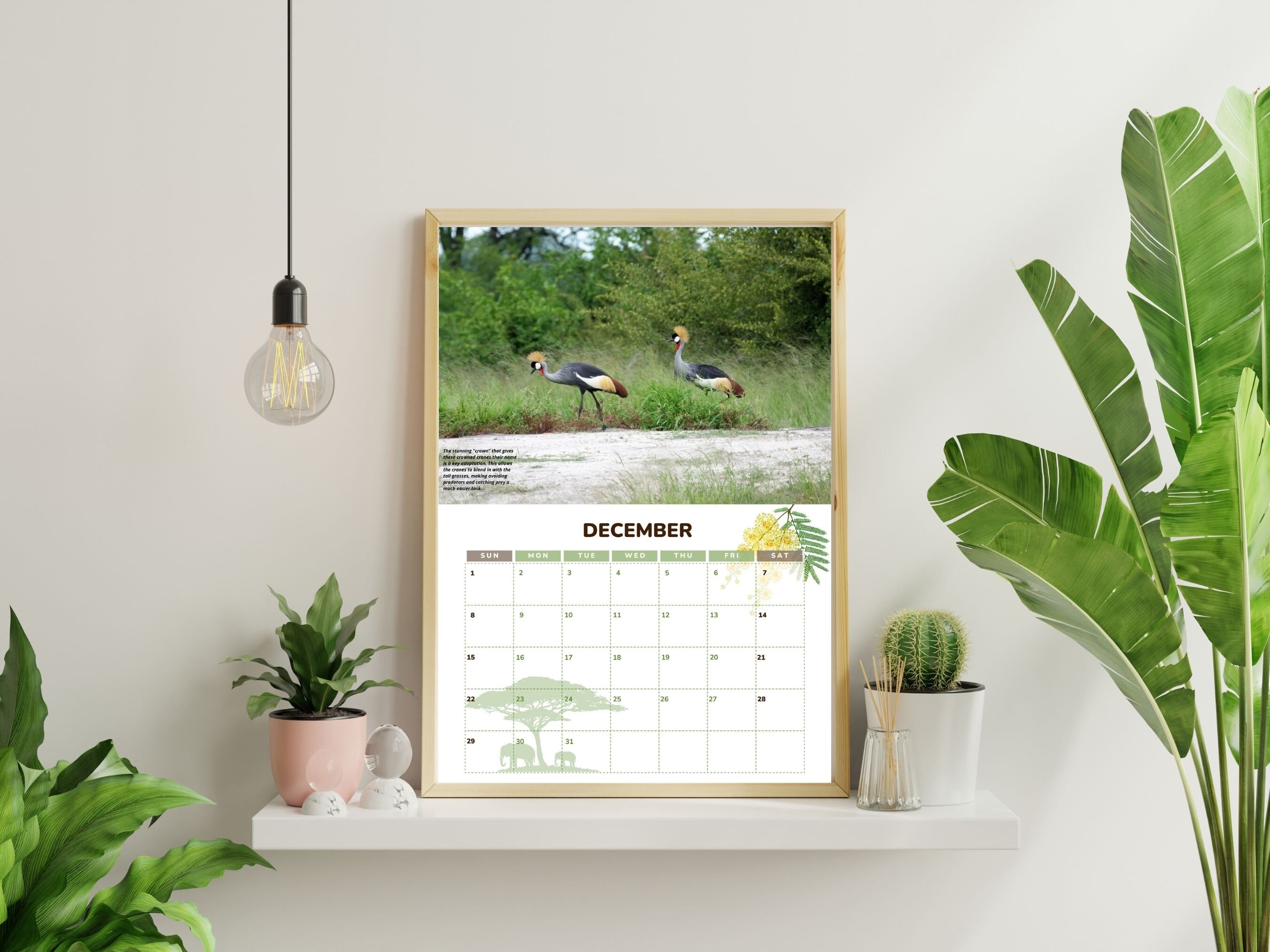 12 Month Photo Calendar, 2024 Photo Prints, Photo Gift for Class Room ...