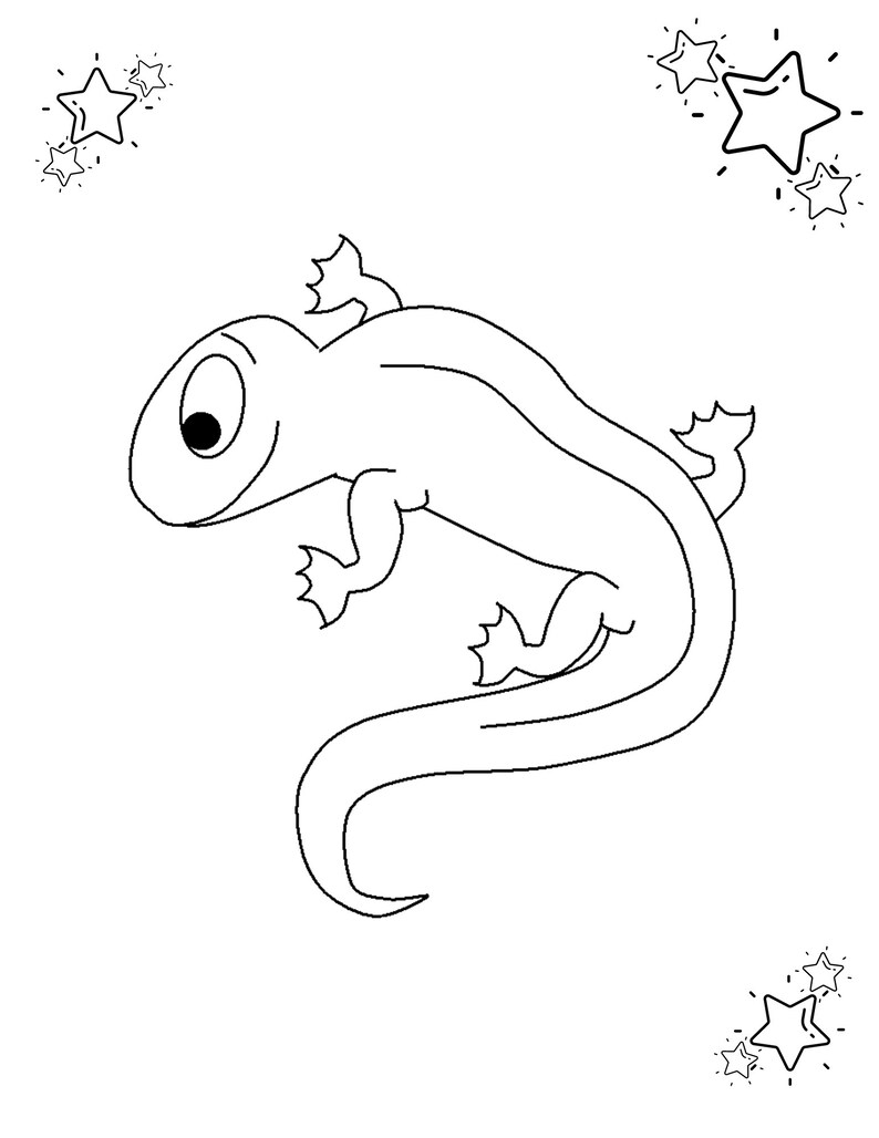 235 Printable Coloring Pages With Everyday Things - Etsy