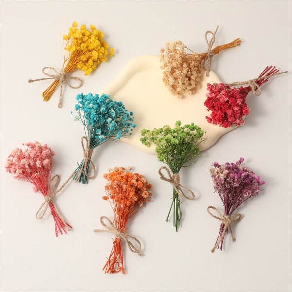 Mini Dried Flowers - Etsy