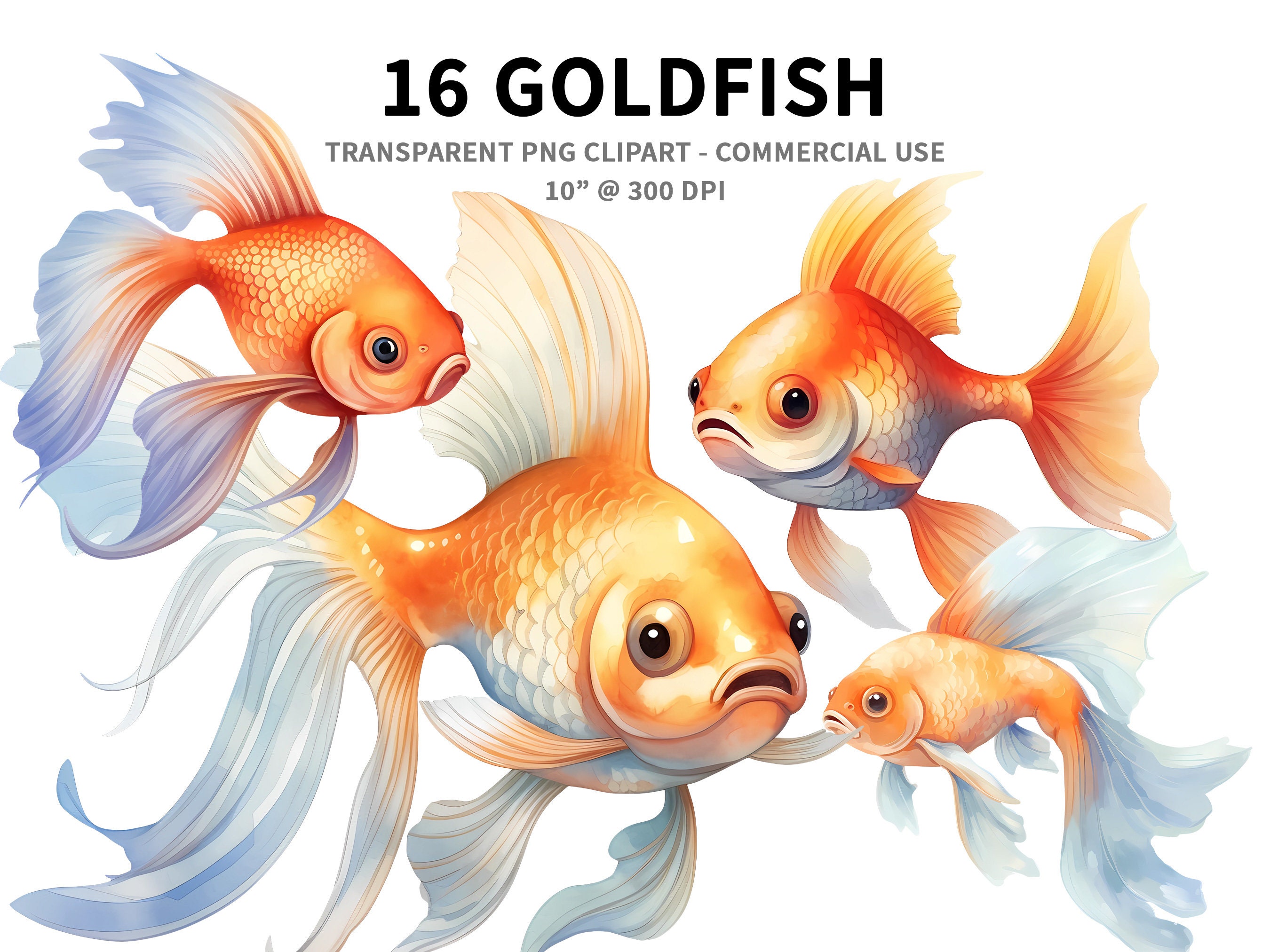 Dead Goldfish Clipart