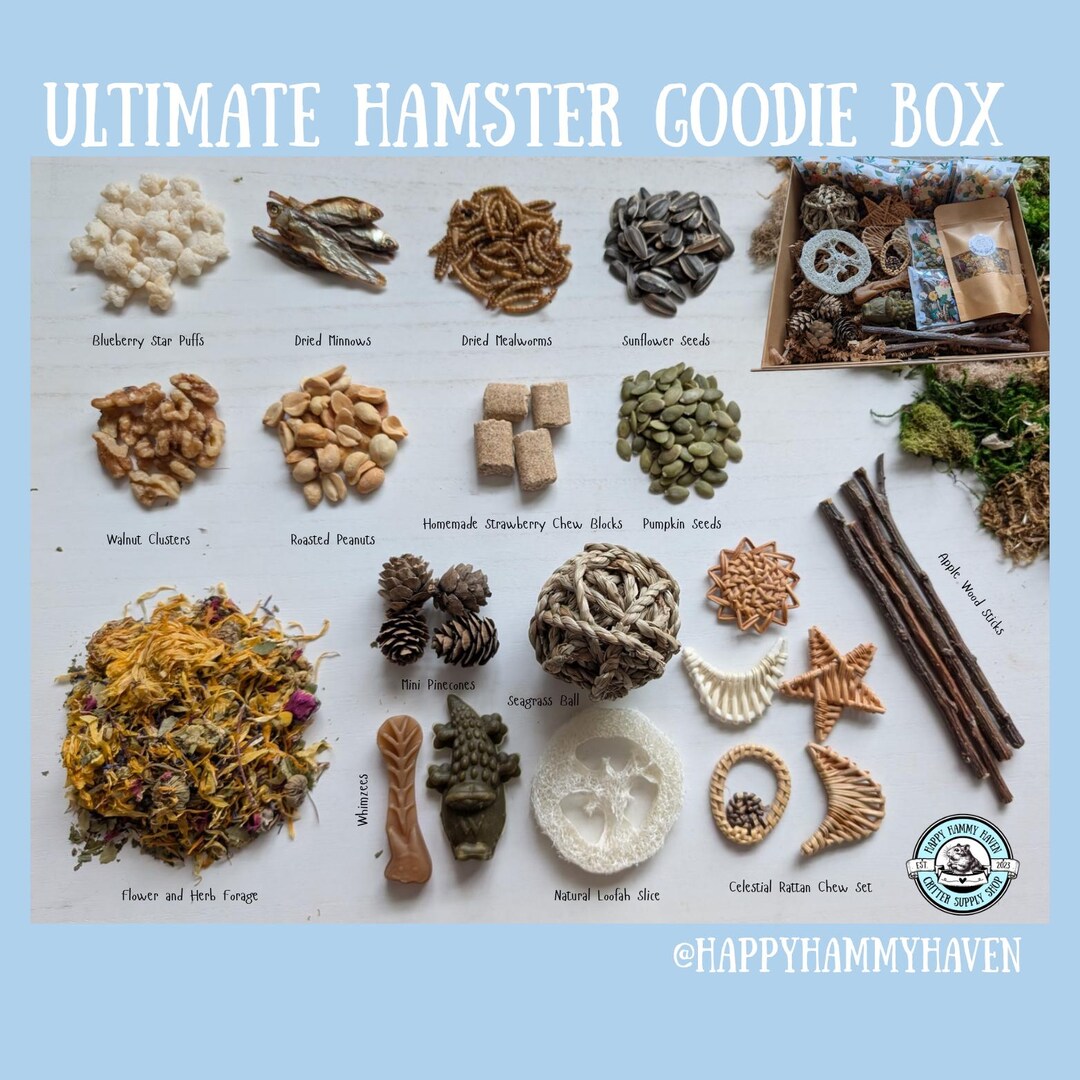 Ultimate Hamster Goodie Box - Happy Hammy Starter/taming Kit - Etsy