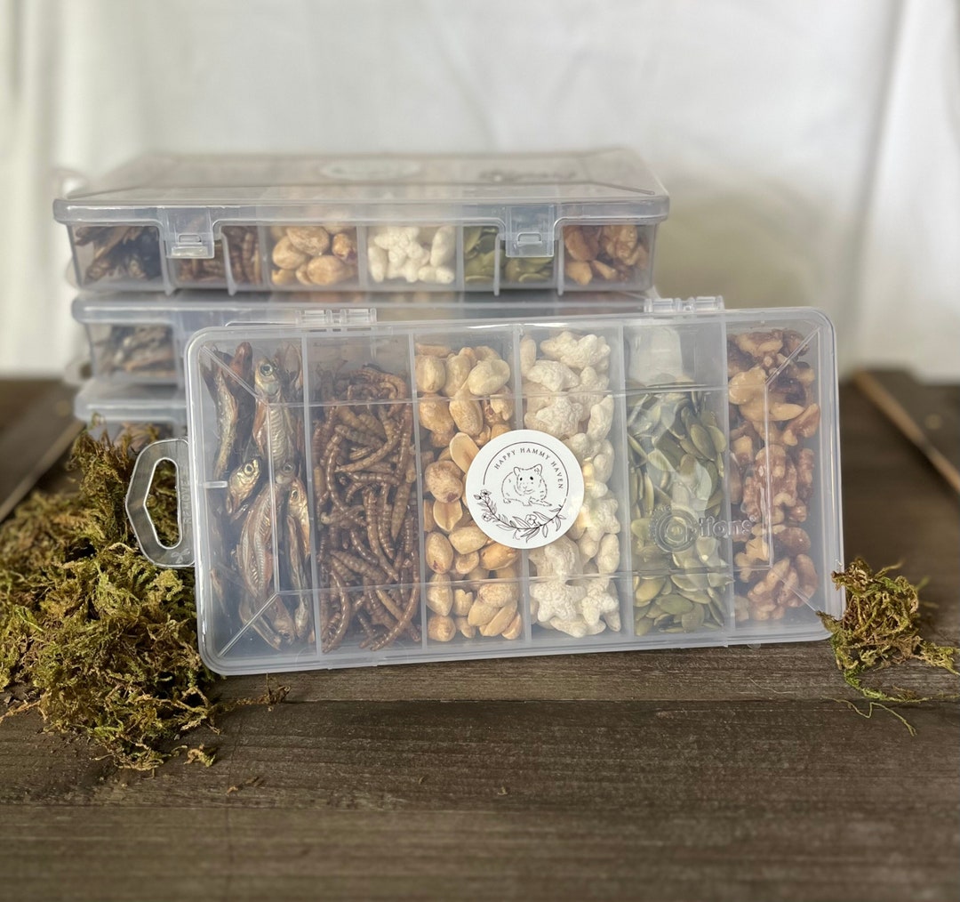 Large Hamster Treat Box - Etsy