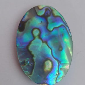 100% Top Ormer Shell, Abalone Shell, Paua Shell, Perlemoen Shell,nacre ...