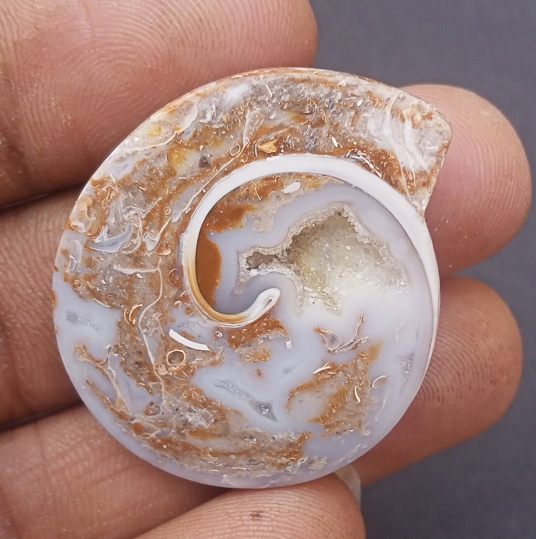 68 Cts. Natural Shell Druzy, Opalized Druzy, Fossilized Shell, Druzy ...