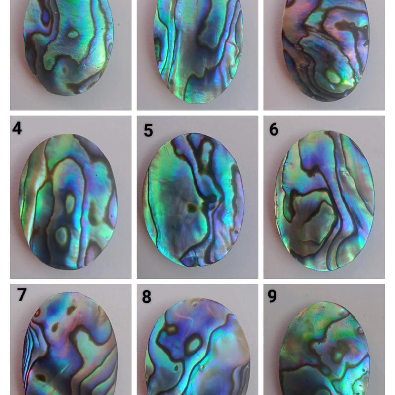 Abalone Cabochons - Etsy