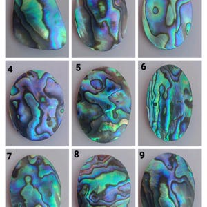 100% Top Ormer Shell, Abalone Shell, Paua Shell, Perlemoen Shell,nacre Shel Natural Rainbow ...