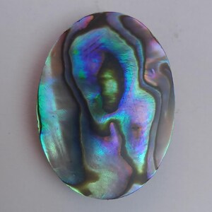 100% Top Ormer Shell, Abalone Shell, Paua Shell, Perlemoen Shell,nacre ...