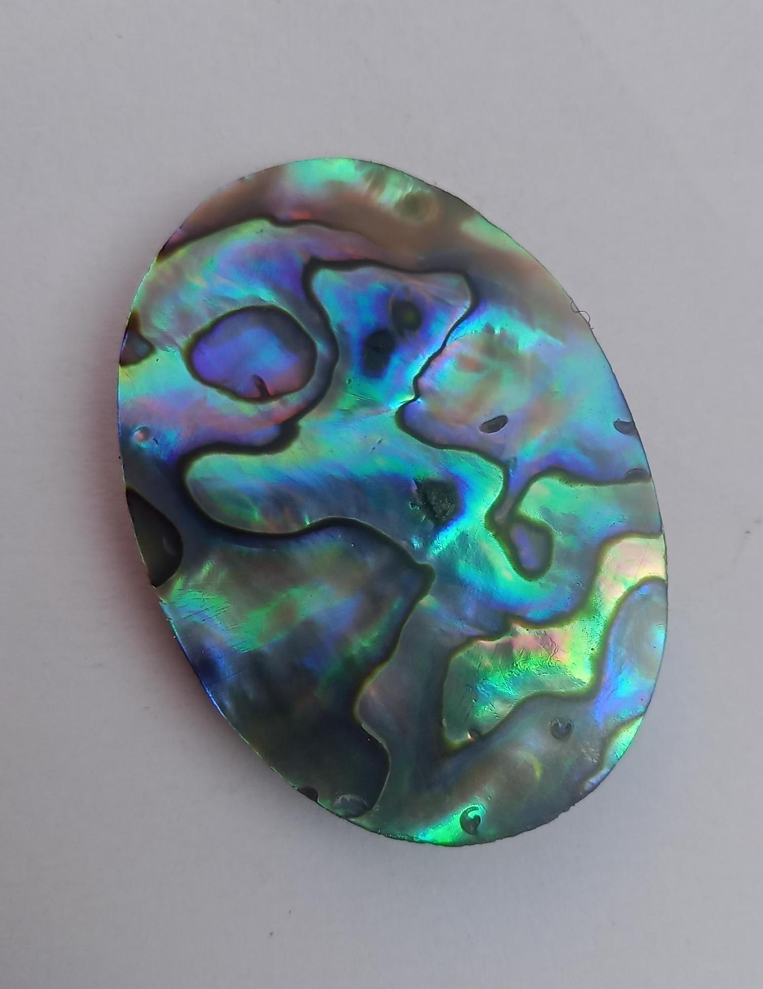 100% Top Ormer Shell, Abalone Shell, Paua Shell, Perlemoen Shell,nacre ...