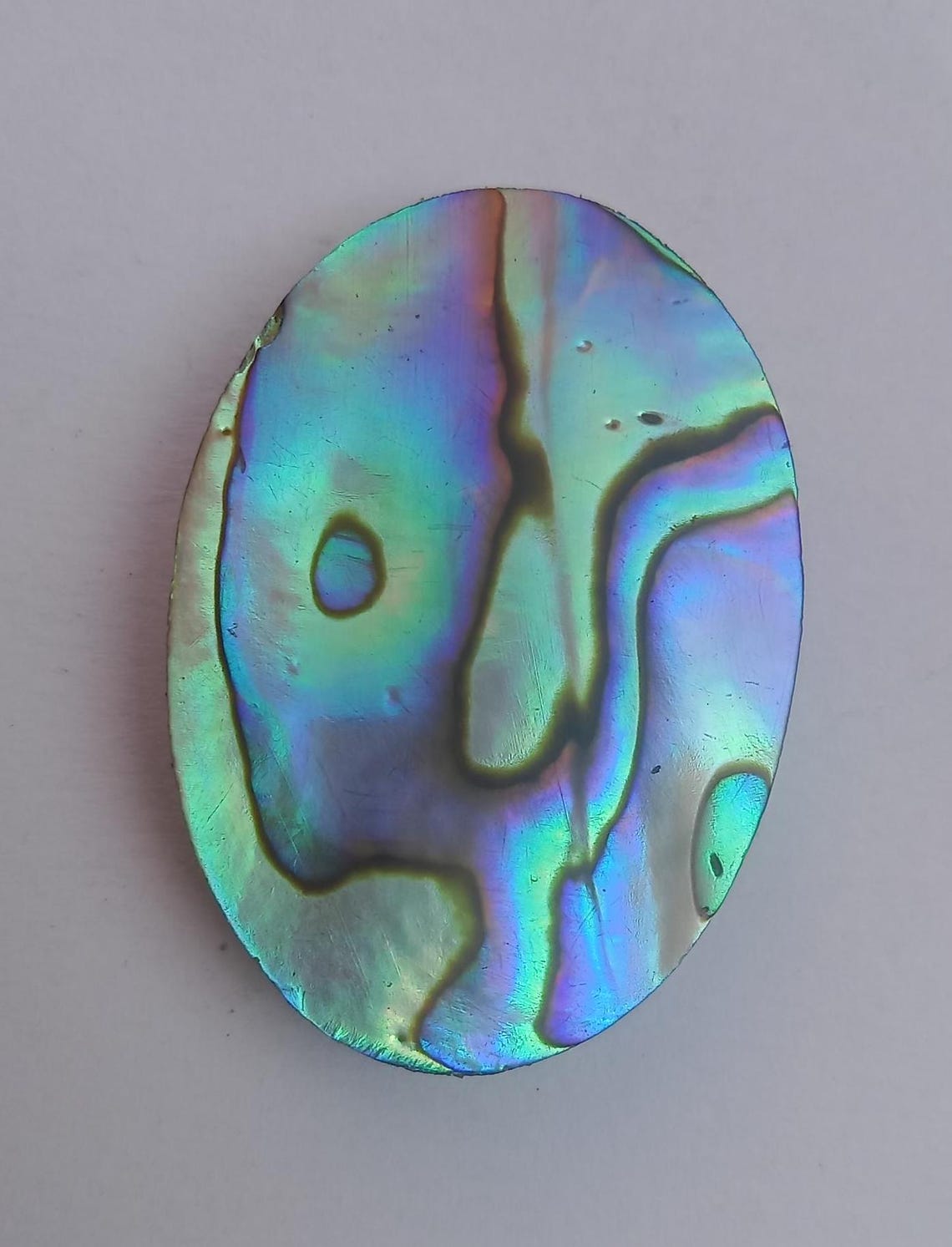 100% Top Ormer Shell, Abalone Shell, Paua Shell, Perlemoen Shell,nacre ...
