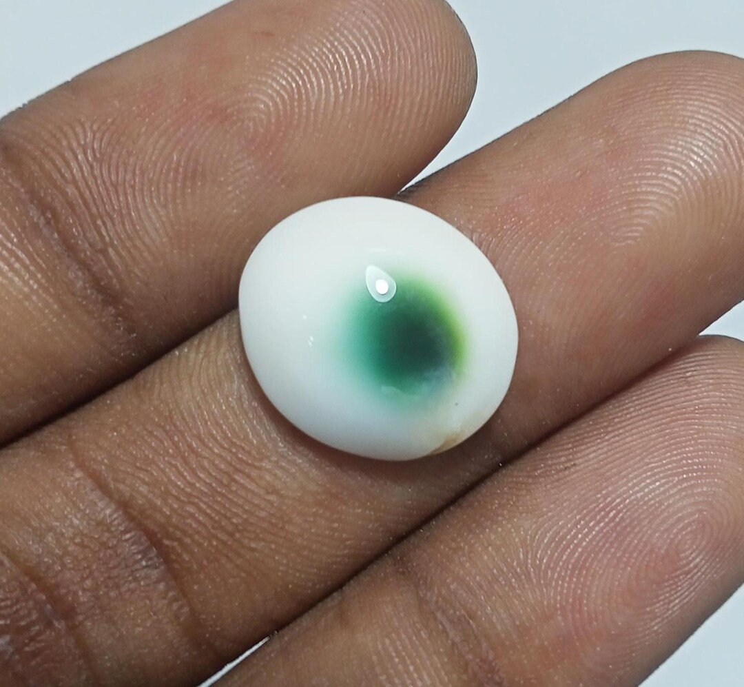 10 Cts. Green Shiva Eye, Curiosity Cabinet, Shell Cover, Shell Jewelry ...