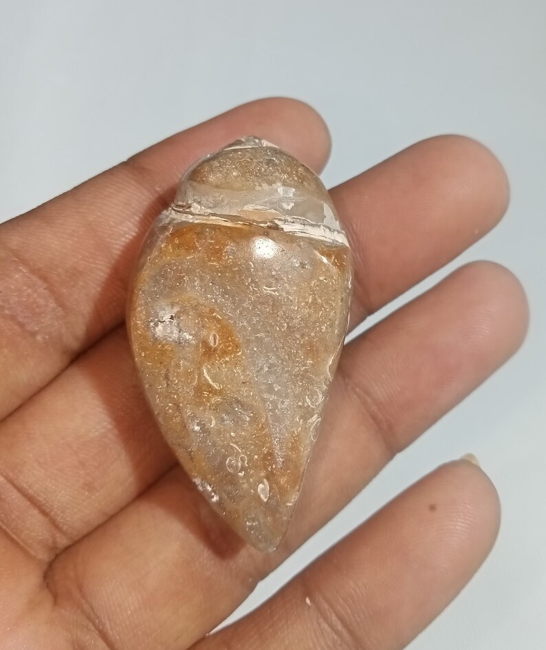 170 Cts. 100%natural Fossil Snail Agate,shell Druzy/fossil Snail Druzy ...