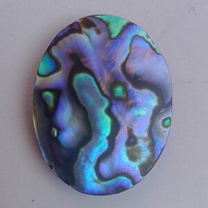 100% Top Ormer Shell, Abalone Shell, Paua Shell, Perlemoen Shell,nacre ...