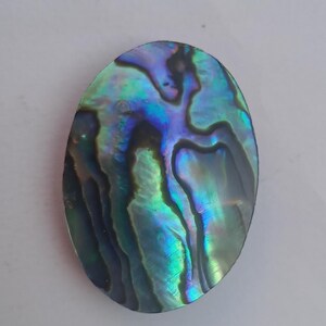 100% Top Ormer Shell, Abalone Shell, Paua Shell, Perlemoen Shell,nacre ...