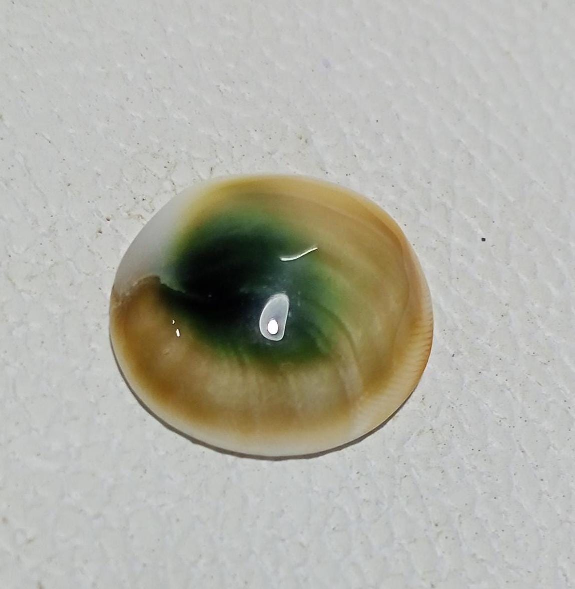 20 Cts. Lord Krishna Eye of Shiva, Cat Eyes, Eye of Saint Lucia, Eyes ...