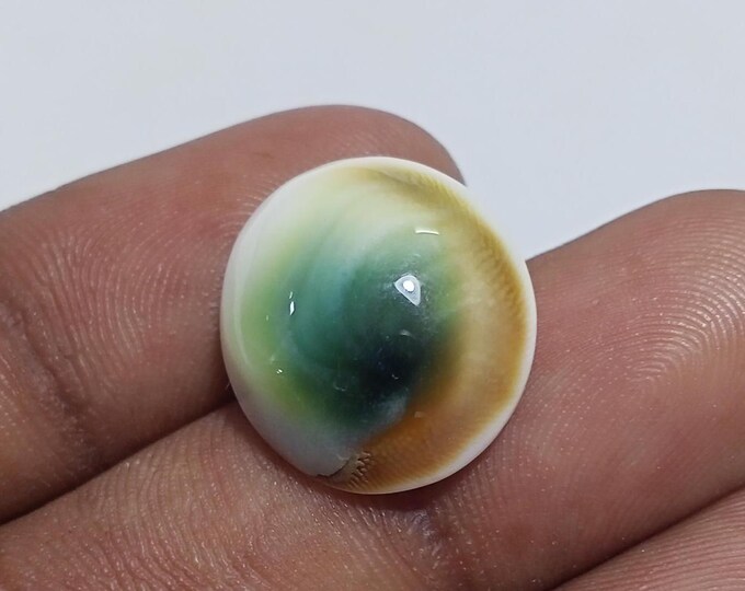 20 Cts. Lord Krishna Eye of Shiva, Cat Eyes, Eye of Saint Lucia, Eyes ...