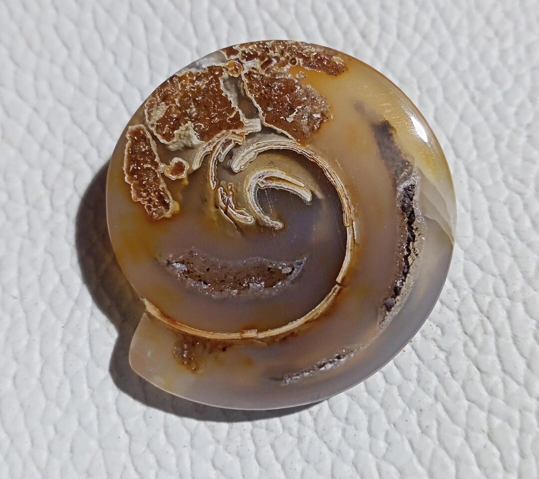 43 Ct. Genuine Druzy Fossil Snail Slice, Sparkling Natural Crystal ...