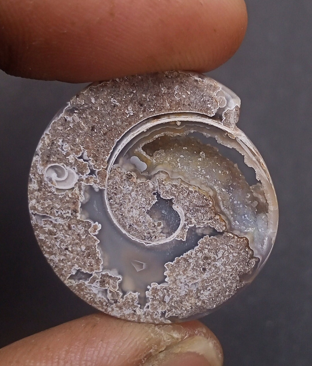 37 Ct. 100%natural Fossil Snail Slice Agate,shell Druzy/fossil Snail ...