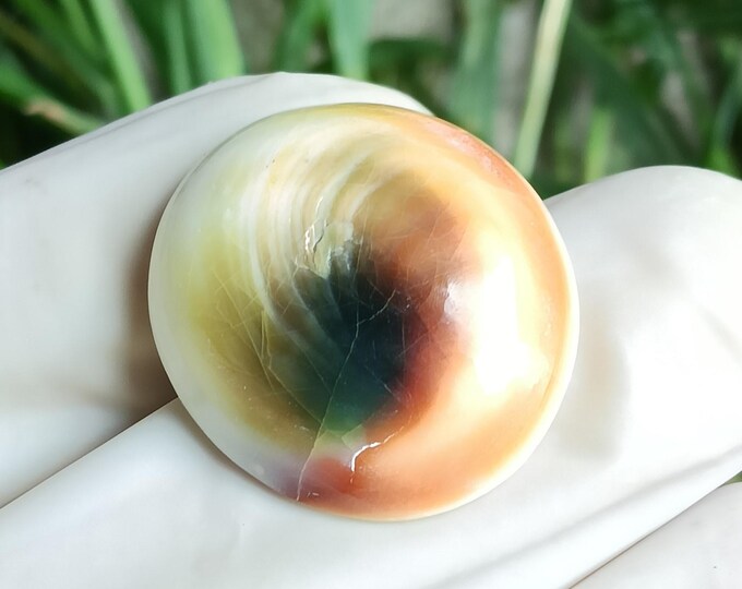 20 Cts. Lord Krishna Eye of Shiva, Cat Eyes, Eye of Saint Lucia, Eyes ...